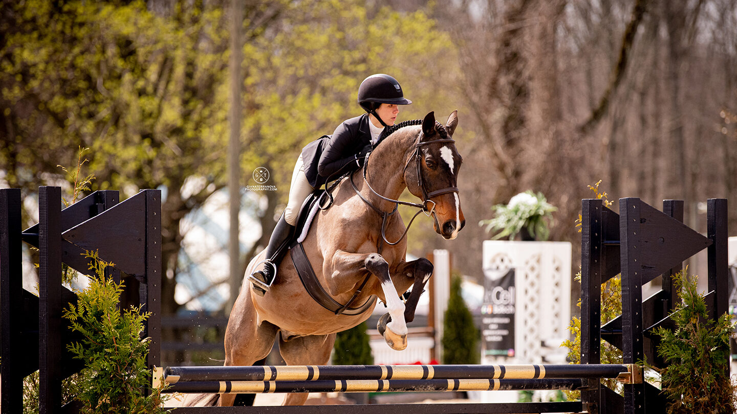 equestrian_ncea-pr-1440x810